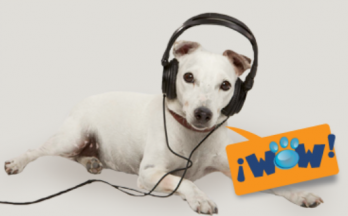 Una buena para Telmex, el congreso exigiría informe sobre el último ...