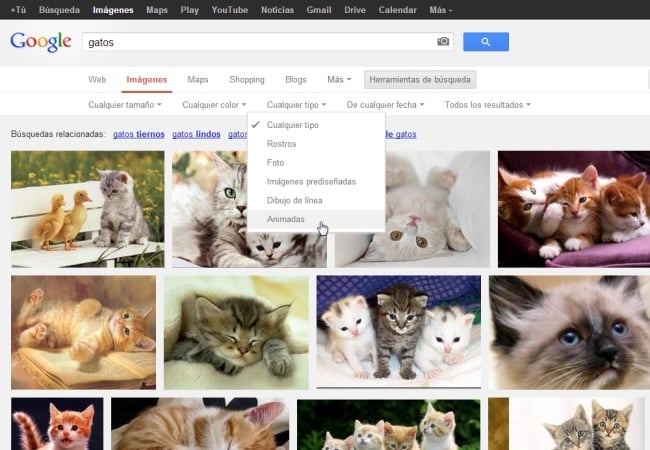 Google permite buscar GIFs animados e imágenes con fondo transparente ...