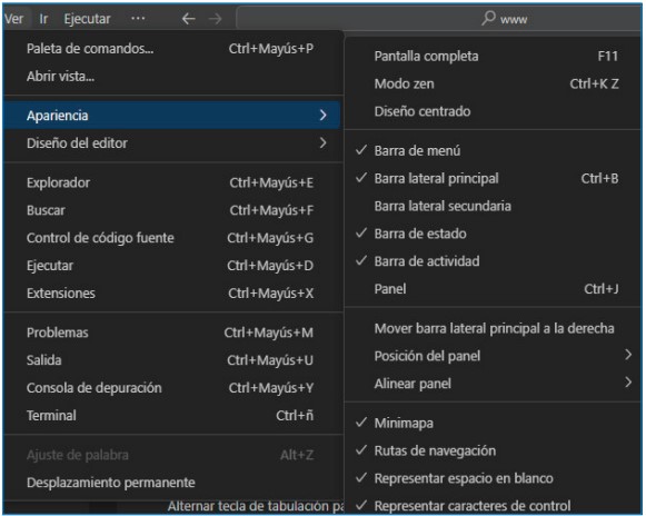 APRENDE A UTILIZAR VISUAL STUDIO CODE - RedUSERS
